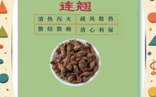 连翘的功效与作用_连翘能治哪些病
