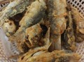 炸小黄鱼怎么做好吃酥脆_炸小黄鱼酥脆技巧