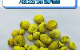 法半夏的功效与作用_法半夏的副作用有哪些