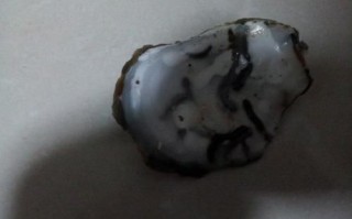 花甲里面黑色的是屎吗_花甲黑色物质能吃吗