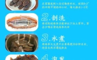干海参怎么泡发最大_干海参泡发多久最好 干海参怎么泡发最大_干海参泡发多久最好