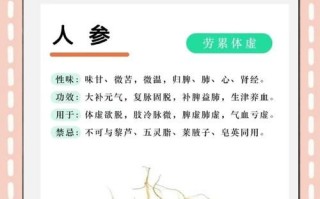 人参的功效与作用有哪些_人参怎么吃最营养