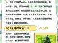 芝麻有什么功效_黑芝麻和白芝麻哪个更营养