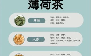 薄荷的功效与作用及禁忌是什么_薄荷泡水喝的正确方法