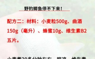 野钓用什么饵料_野钓最佳时间