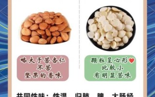 杏仁的功效与作用有哪些_杏仁的禁忌是什么