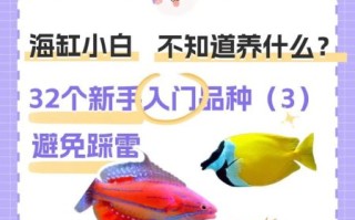 海水鱼图鉴大全_如何挑选健康海水观赏鱼