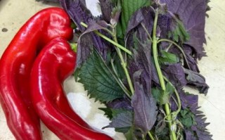 朝鲜辣酱怎么做最正宗_朝鲜辣酱配方比例