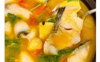 西红柿炖鱼块怎么做_西红柿炖鱼块的做法窍门