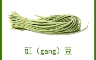 豇怎么读_豇豆读音和意思