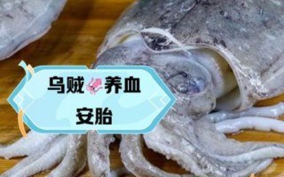 乌贼的营养价值有哪些_乌贼和鱿鱼营养区别
