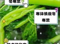 冬寒菜不能和什么一起吃_冬寒菜哪些人不能吃