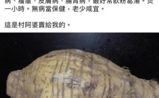 葛根粉吃了有什么好处_葛根粉的功效与作用