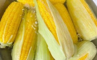 甜玉米要煮多久才熟_甜玉米煮多久口感最好
