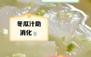 冬瓜汁怎么做_冬瓜汁减肥正确喝法