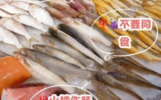 海鲜不能和什么一起吃水果_吃海鲜后多久能吃水果