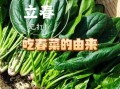 立春吃什么蔬菜好_立春养生蔬菜推荐