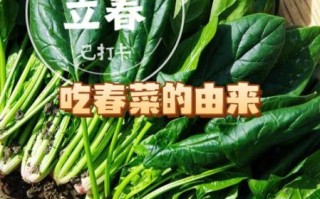 立春吃什么蔬菜好_立春养生蔬菜推荐