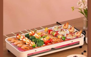 家用电烤串炉子什么牌子好_电烤炉怎么选