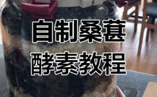 自制酵素用什么水果最好_酵素发酵失败怎么办