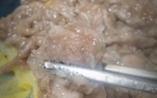 正宗滑肉片怎么做_滑肉片嫩滑不柴的秘诀