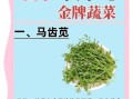 夏天吃什么蔬菜好_夏季蔬菜有哪些