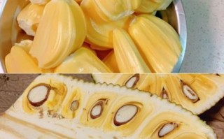 菠萝蜜怎么剥开_菠萝蜜快速剥图解