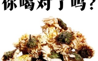 白菊花茶的功效与作用_白菊花茶怎么泡才正确