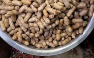 水煮花生怎么煮入味_水煮花生配料有哪些