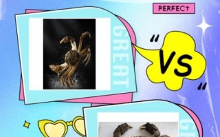 毛蟹是大闸蟹吗_两者区别与选购指南