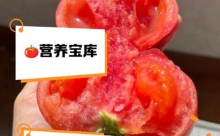 西红柿的热量是多少大卡_西红柿减肥能吃吗