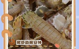 吃虾爬子的禁忌_什么人不能吃虾爬子