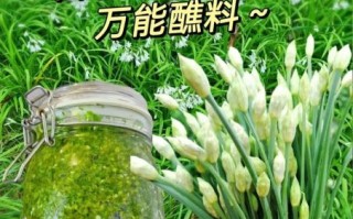 韭菜花酱怎么做_自制韭菜花酱能放多久