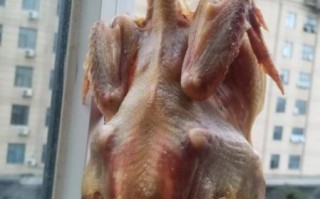 家庭风干鸡怎么做_风干鸡要晒几天