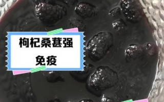 桑葚子枸杞子泡水喝的功效_桑葚子枸杞子能天天吃吗