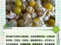 菇鸟果怎么吃_菇鸟果功效与作用