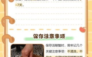 海蟹怎么保存过夜_活海蟹过夜保存方法