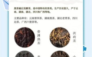 普洱茶属于什么茶系_普洱是黑茶吗