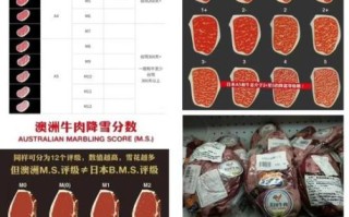 澳洲安格斯牛排等级怎么分_MSA与大理石花纹区别