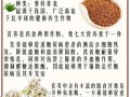 苦荞麦的功效与作用禁忌_什么人不能吃