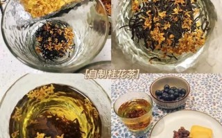 桂花茶怎么制作_家庭自制桂花茶方法