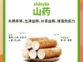 野山药图片与作用与功效_野山药怎么吃效果最好