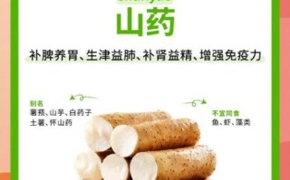野山药图片与作用与功效_野山药怎么吃效果最好