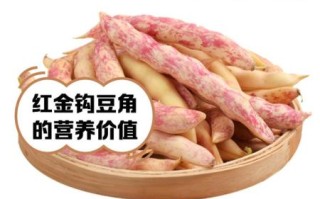 豆角的营养价值及功效与作用_豆角怎么吃最健康