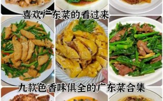 广东菜式菜谱大全名字_有哪些经典必学