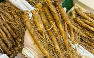 东北人参多少钱一斤_如何挑选正宗东北人参