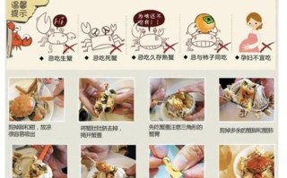 螃蟹怎么吃图解_吃螃蟹的正确步骤