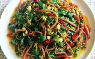 马齿菜怎么吃最好_马齿菜有哪些家常做法