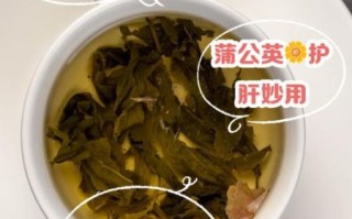 蒲公英茶几天喝一次_多久喝一次不伤肝