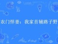 牛奶面包小说讲了什么_结局是BE还是HE